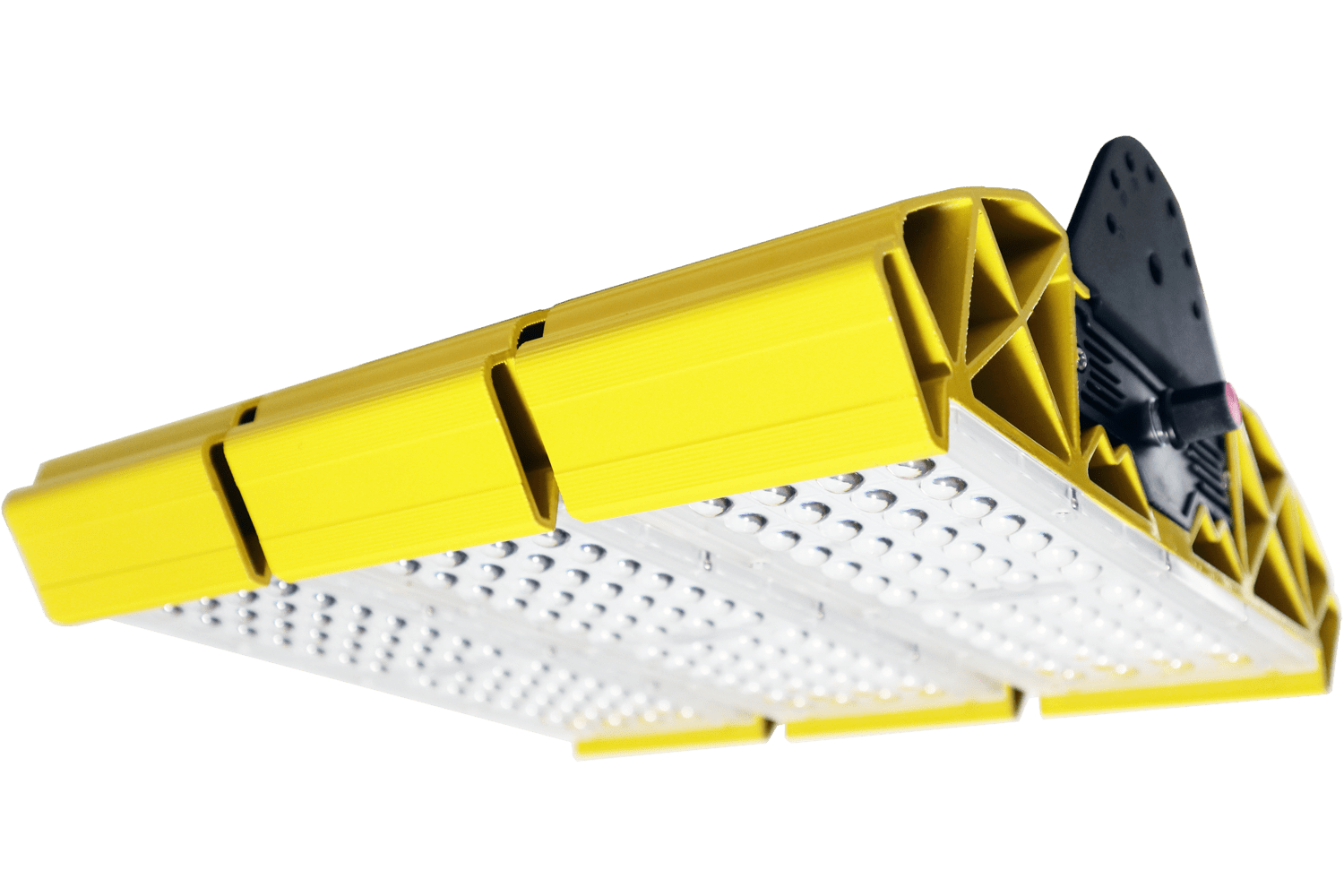 Spectrabox BB 300 | Innovatie en Kracht voor Optimale Kweekresultaten